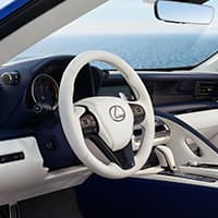 Catálogos | Lexus Brasil